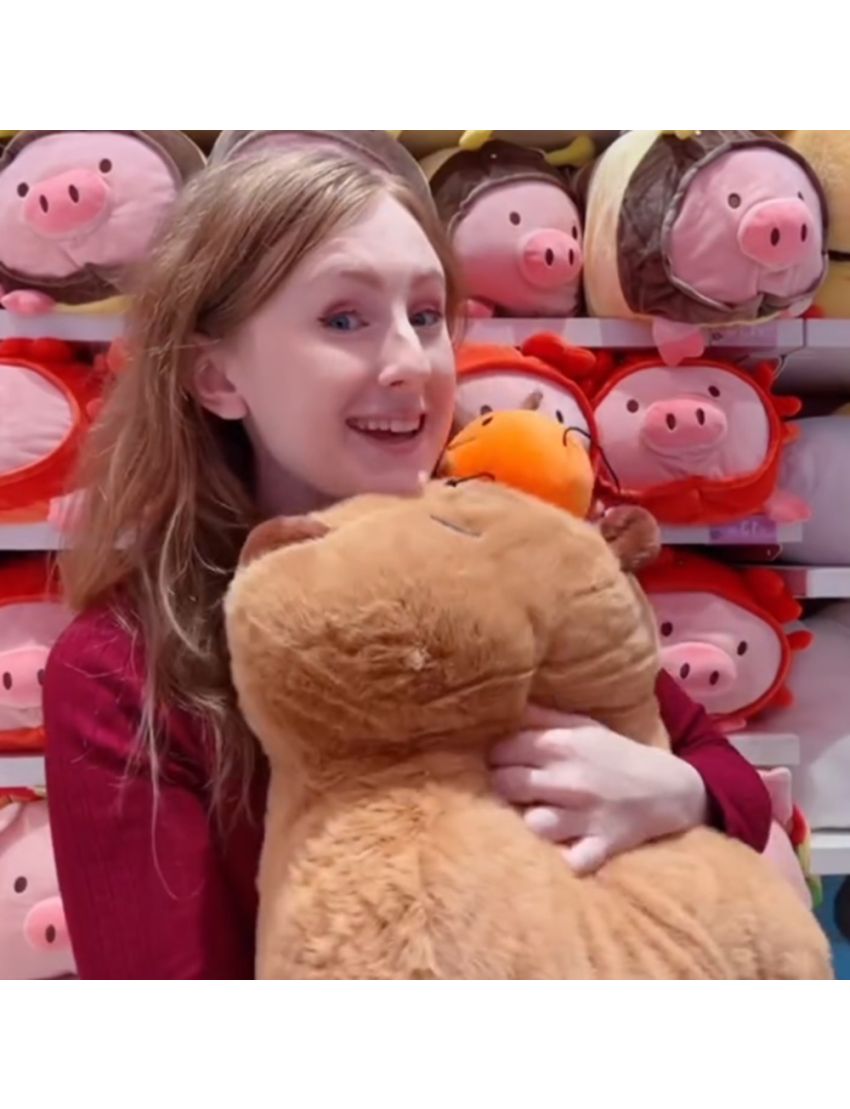 Capybara Standing 50cm Large Plush Soft Toy | MINISO